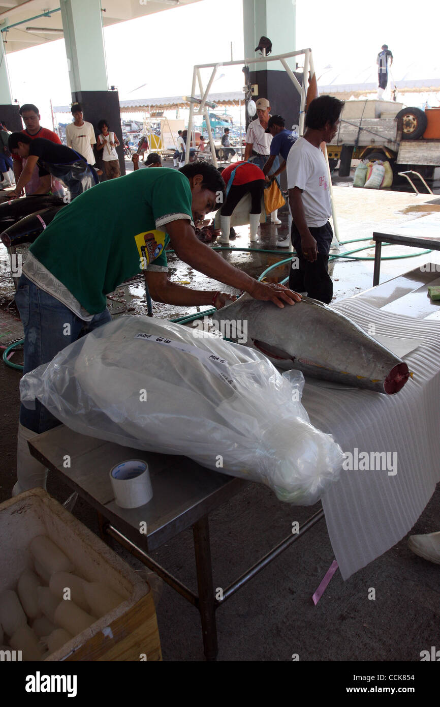 Dec 02, 2010 - General Santos, Philippines - A Filipino worker wraps a ...