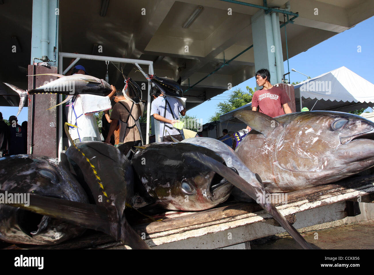 Philippine tuna hi-res stock photography and images - Alamy