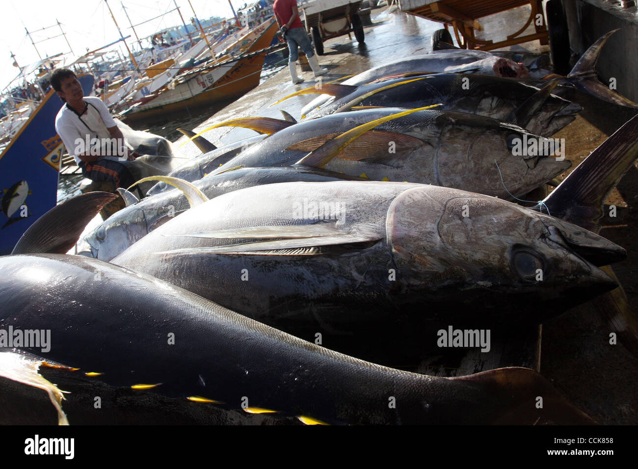 Philippine tuna hi-res stock photography and images - Alamy