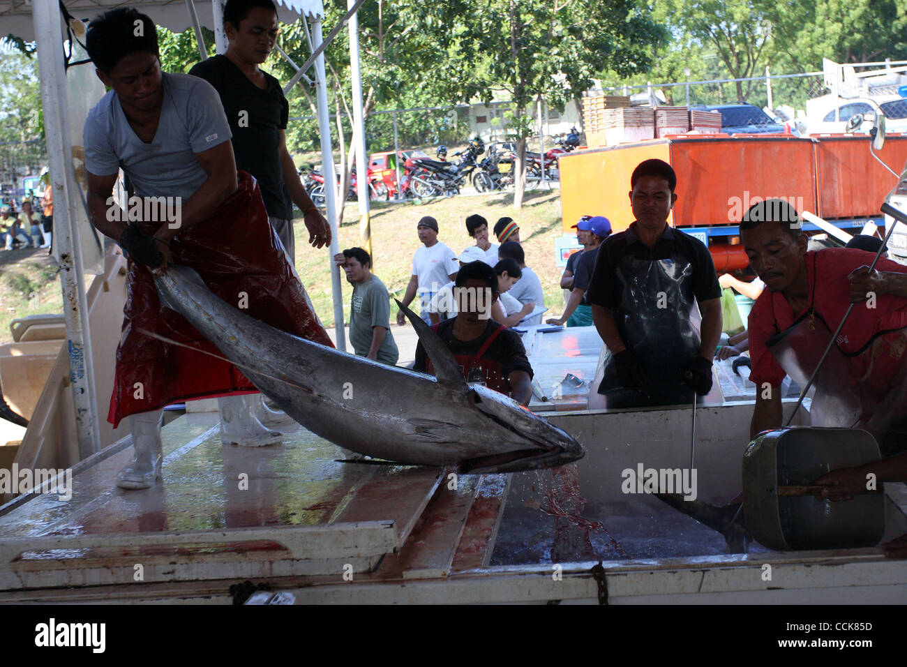 Philippine tuna hi-res stock photography and images - Alamy