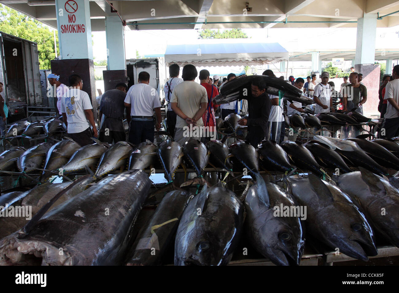 Philippine tuna hi-res stock photography and images - Alamy