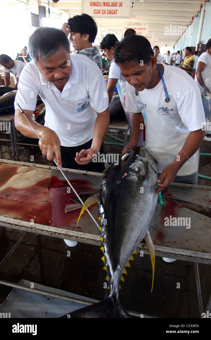 Philippine tuna hi-res stock photography and images - Alamy