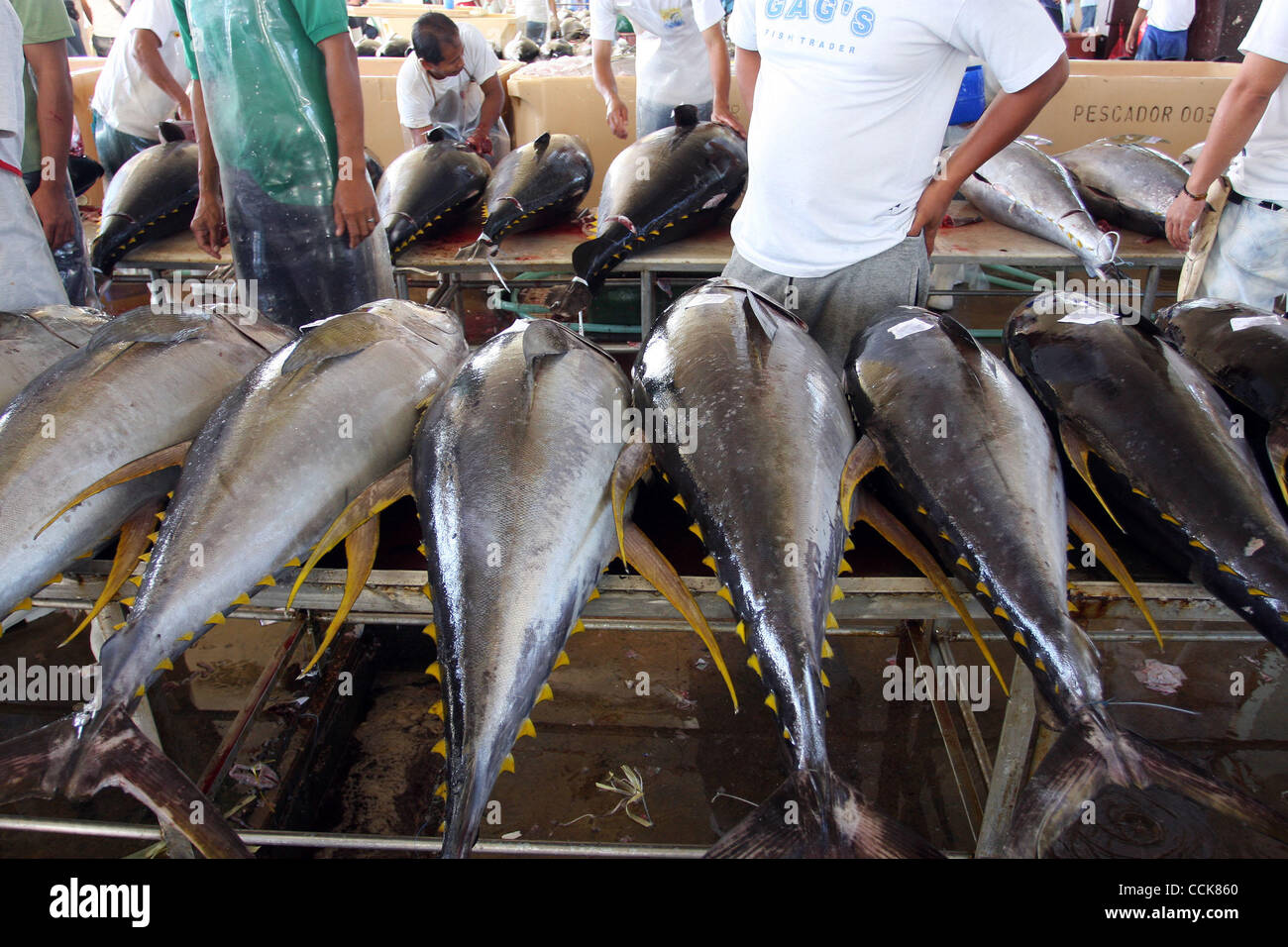 Philippine tuna hi-res stock photography and images - Alamy