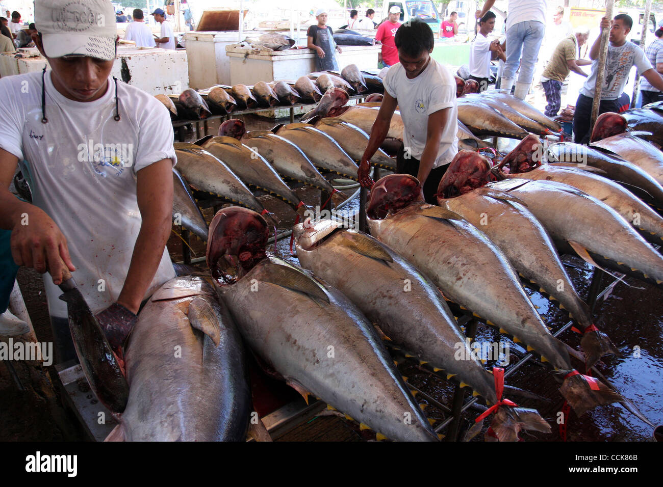 Philippine tuna hi-res stock photography and images - Alamy
