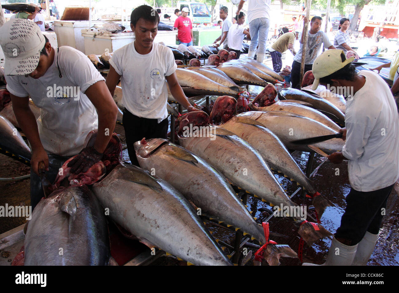 Philippine tuna hi-res stock photography and images - Alamy