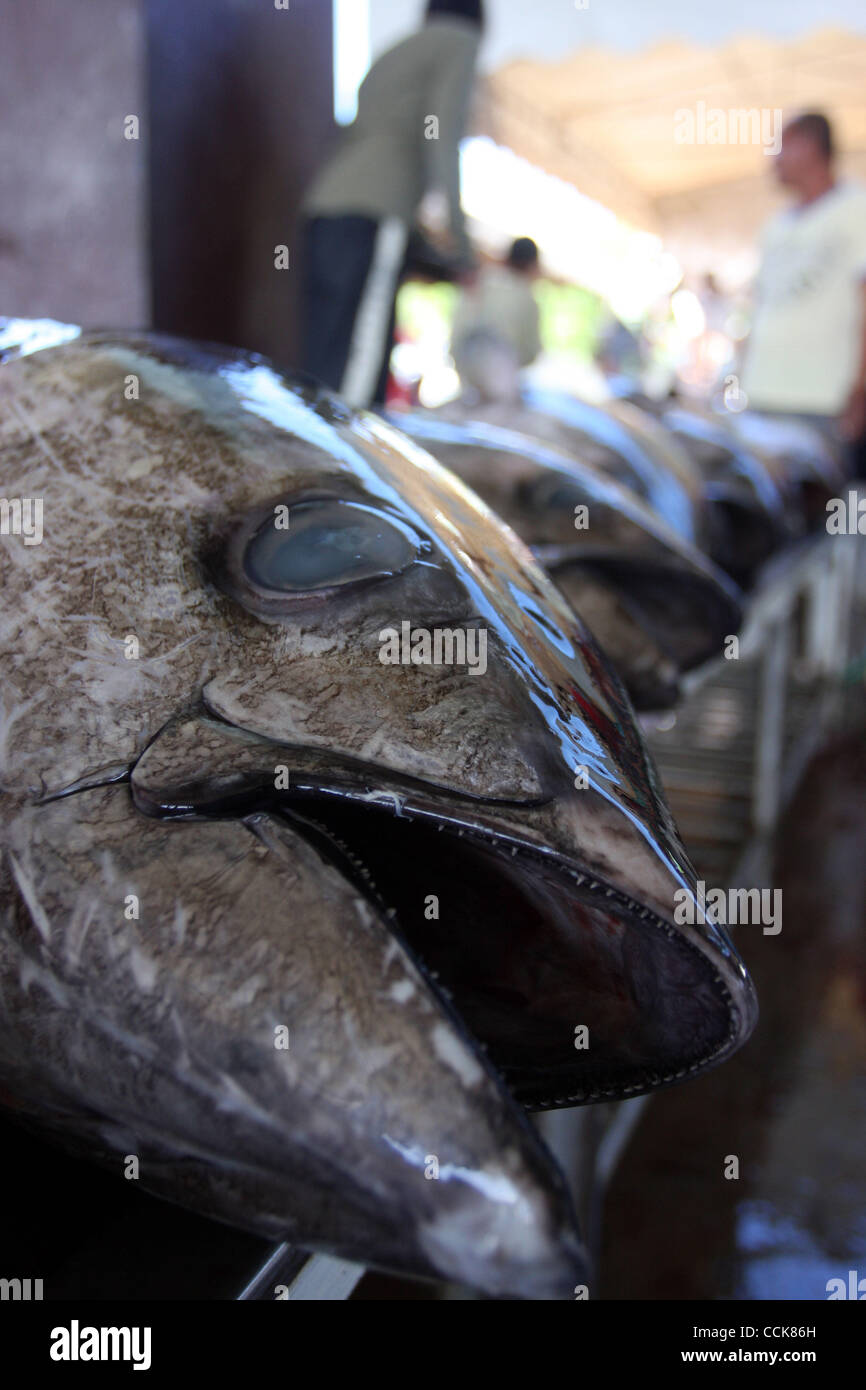 Philippine tuna hi-res stock photography and images - Alamy