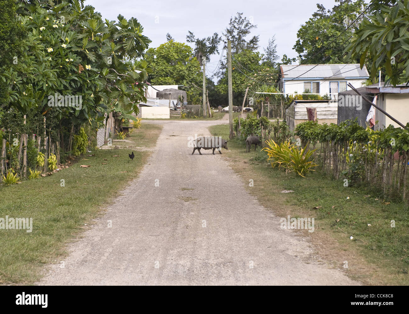 Island of tonga village hi-res stock photography and images - Alamy