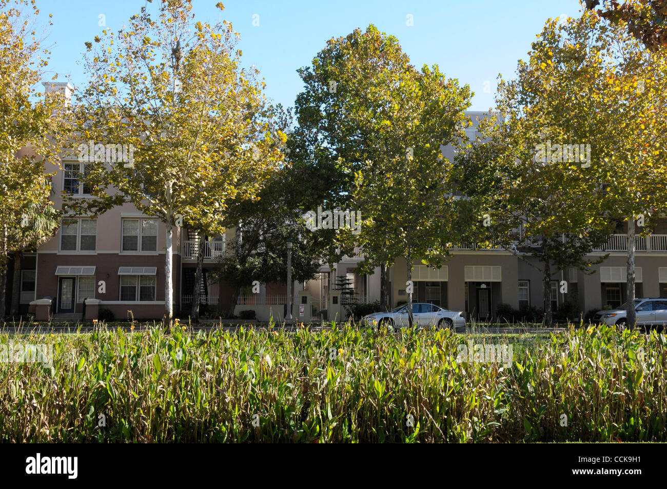 Disney town celebration florida hi-res stock photography and images - Alamy