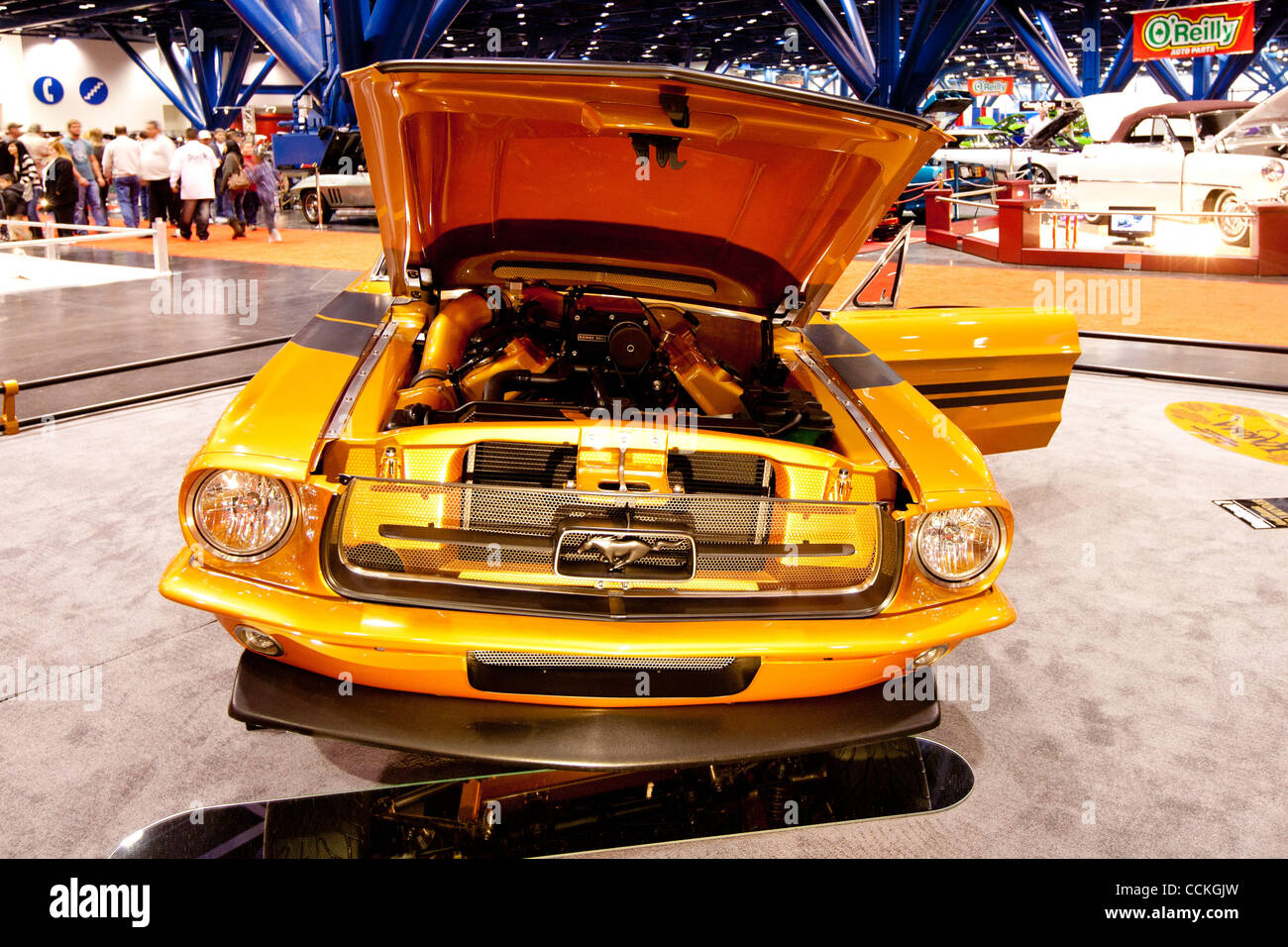 Nov. 26, 2010 - Houston, Texas, U.S - Shebly Mustang showing at this ...