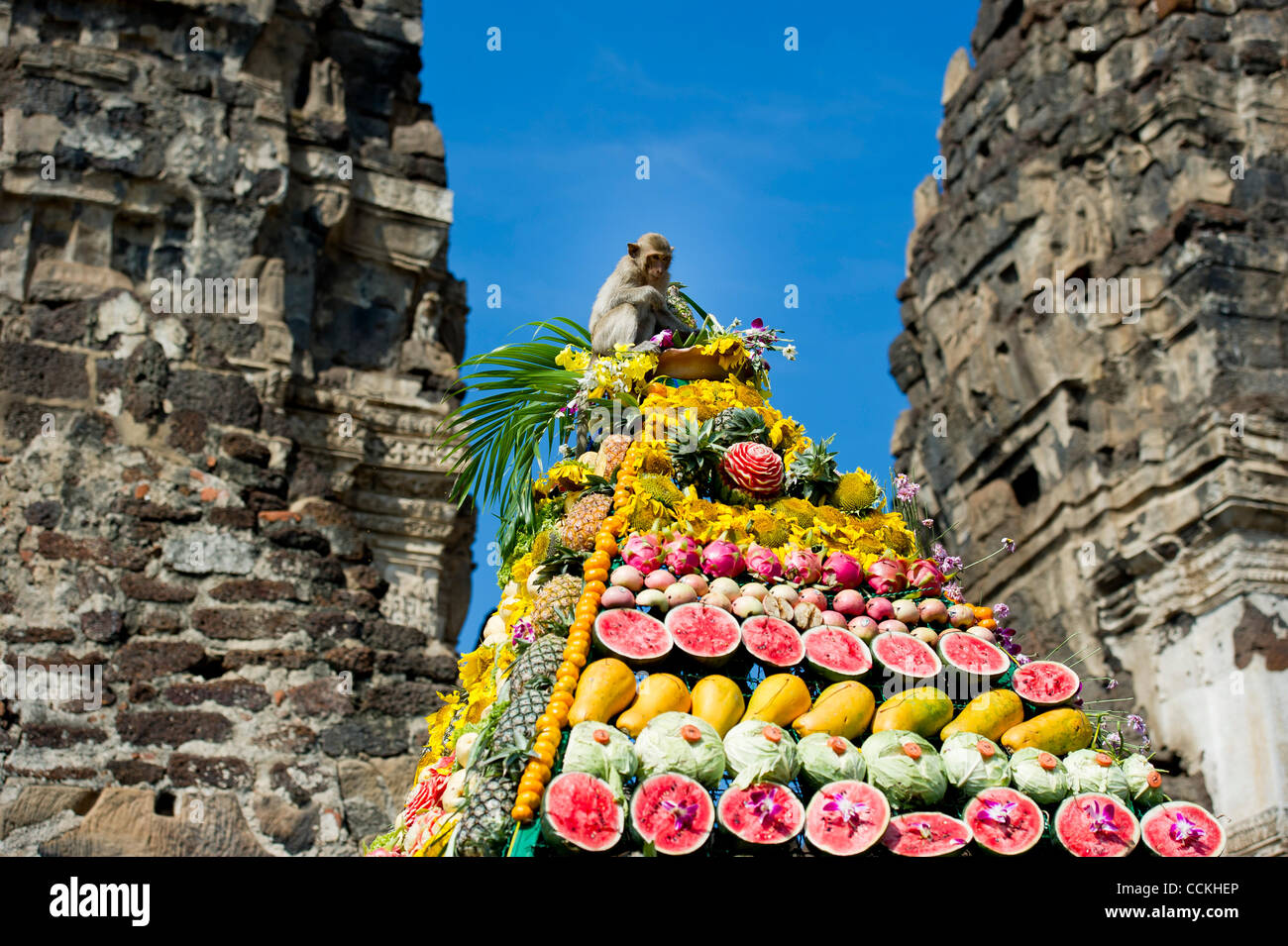 Nov. 28, 2010 - Lopburi, Thailand - A monkey sits on top of a pyramid ...