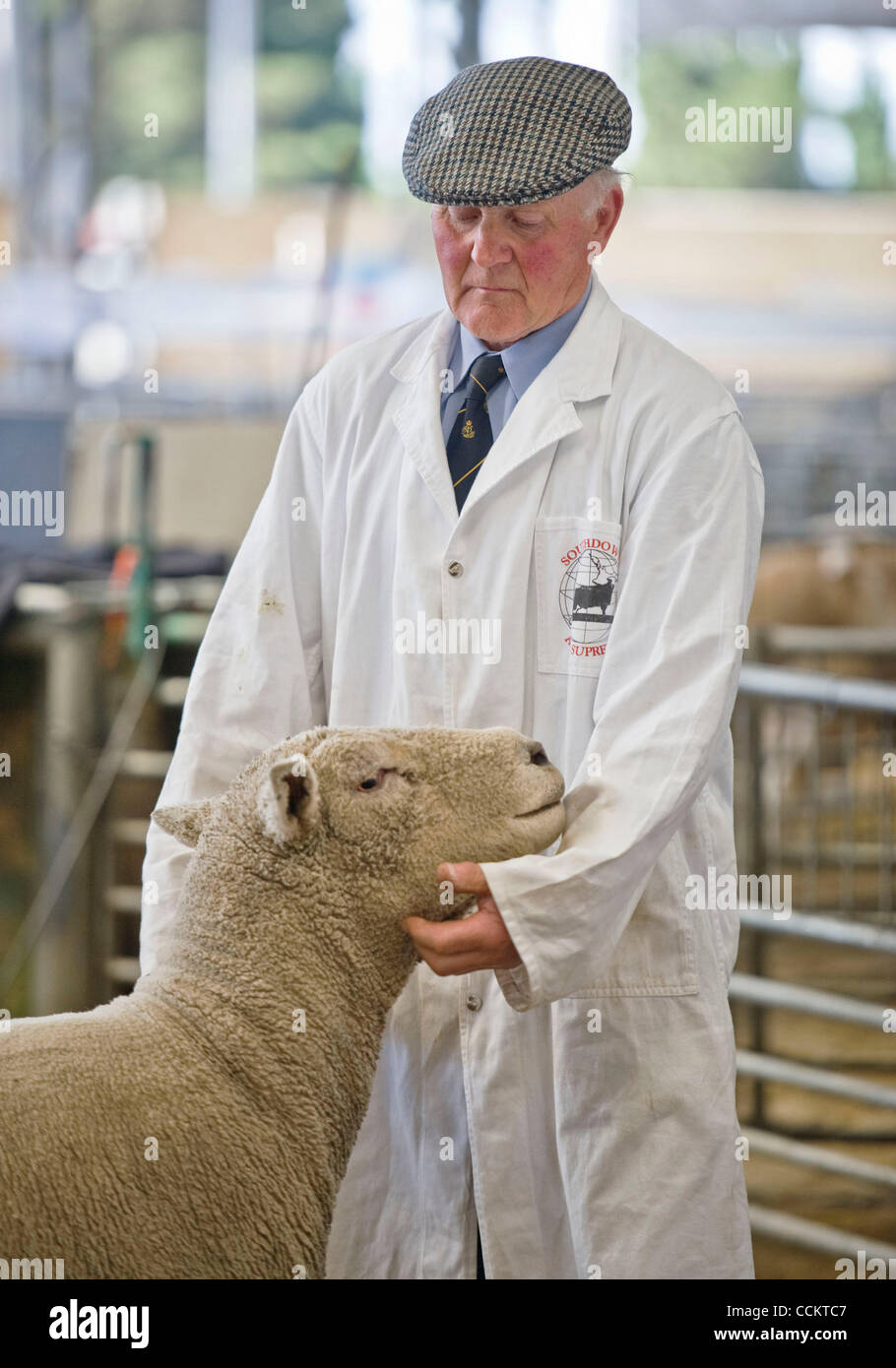 Nov 10, 2010 - Christchurch, New Zealand - Sheep inspection. The 148th ...