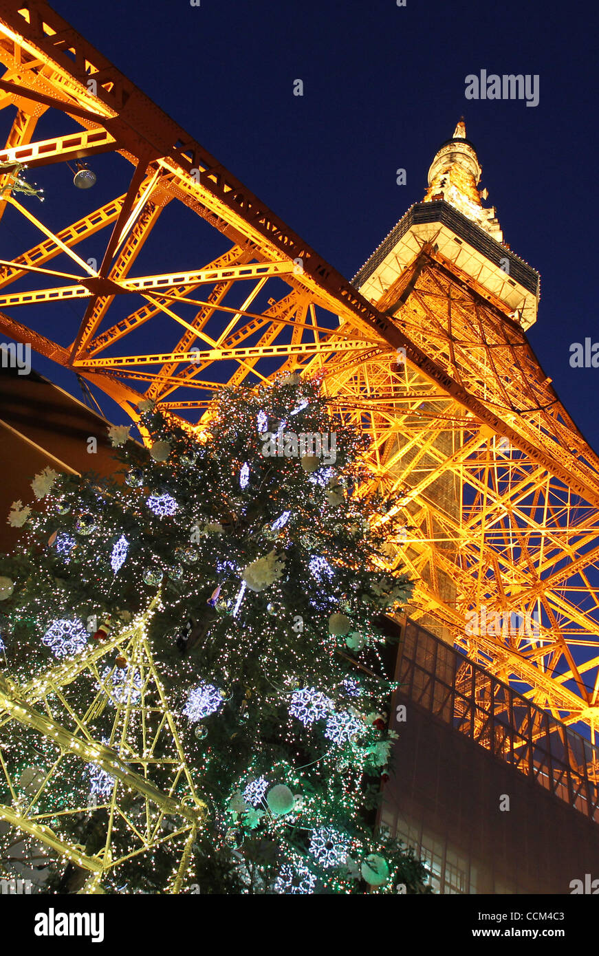 Nov. 5, 2010 - Tokyo, Japan - A 15-meter-tall real fir tree is ...