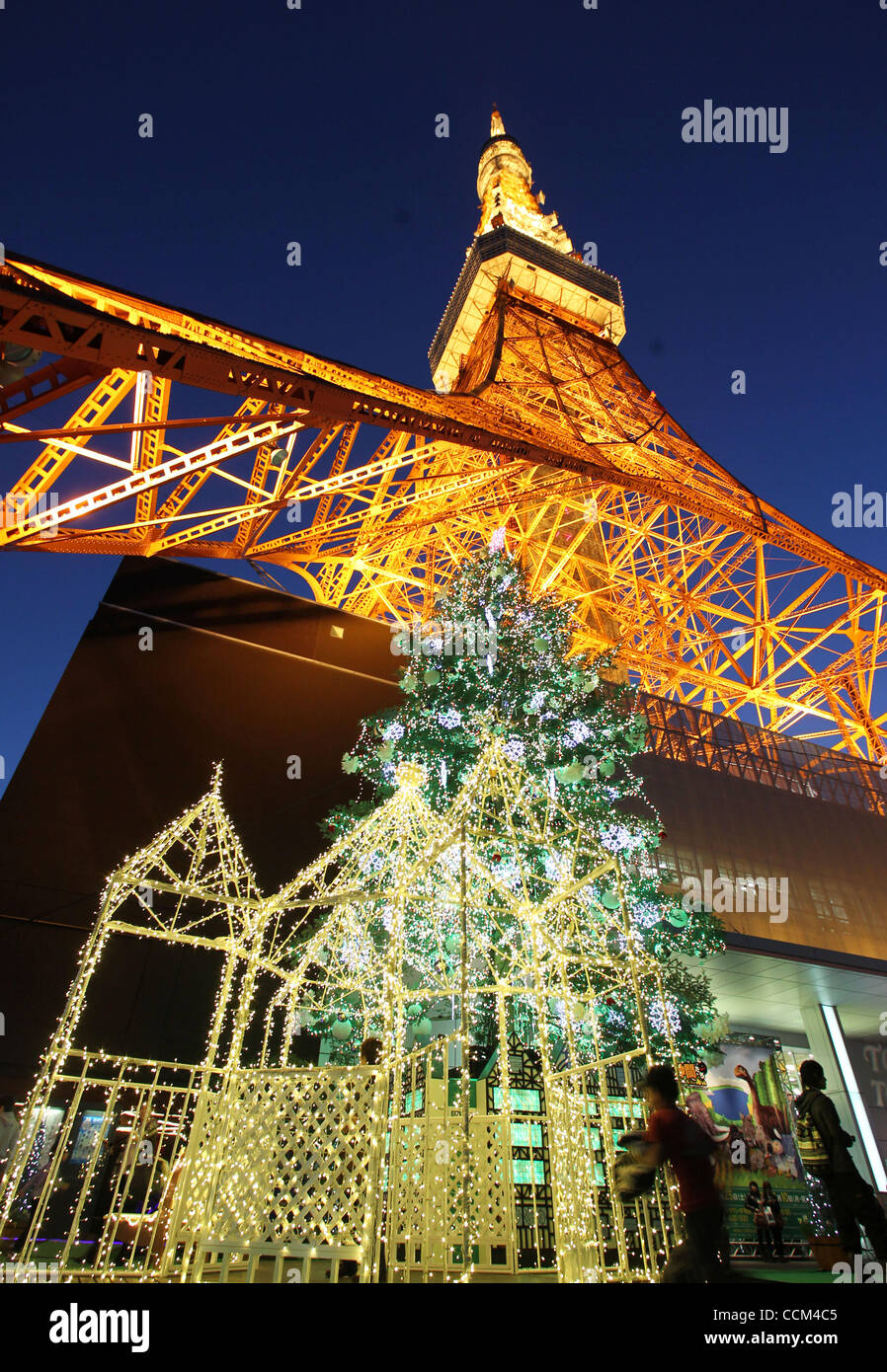 Nov. 5, 2010 - Tokyo, Japan - A 15-meter-tall real fir tree is ...