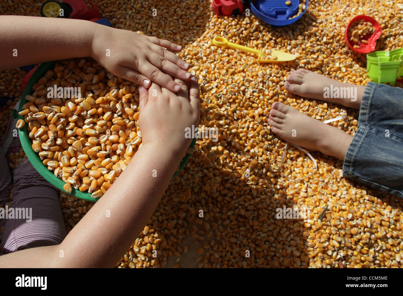 Corn previous crop hi-res stock photography and images - Alamy