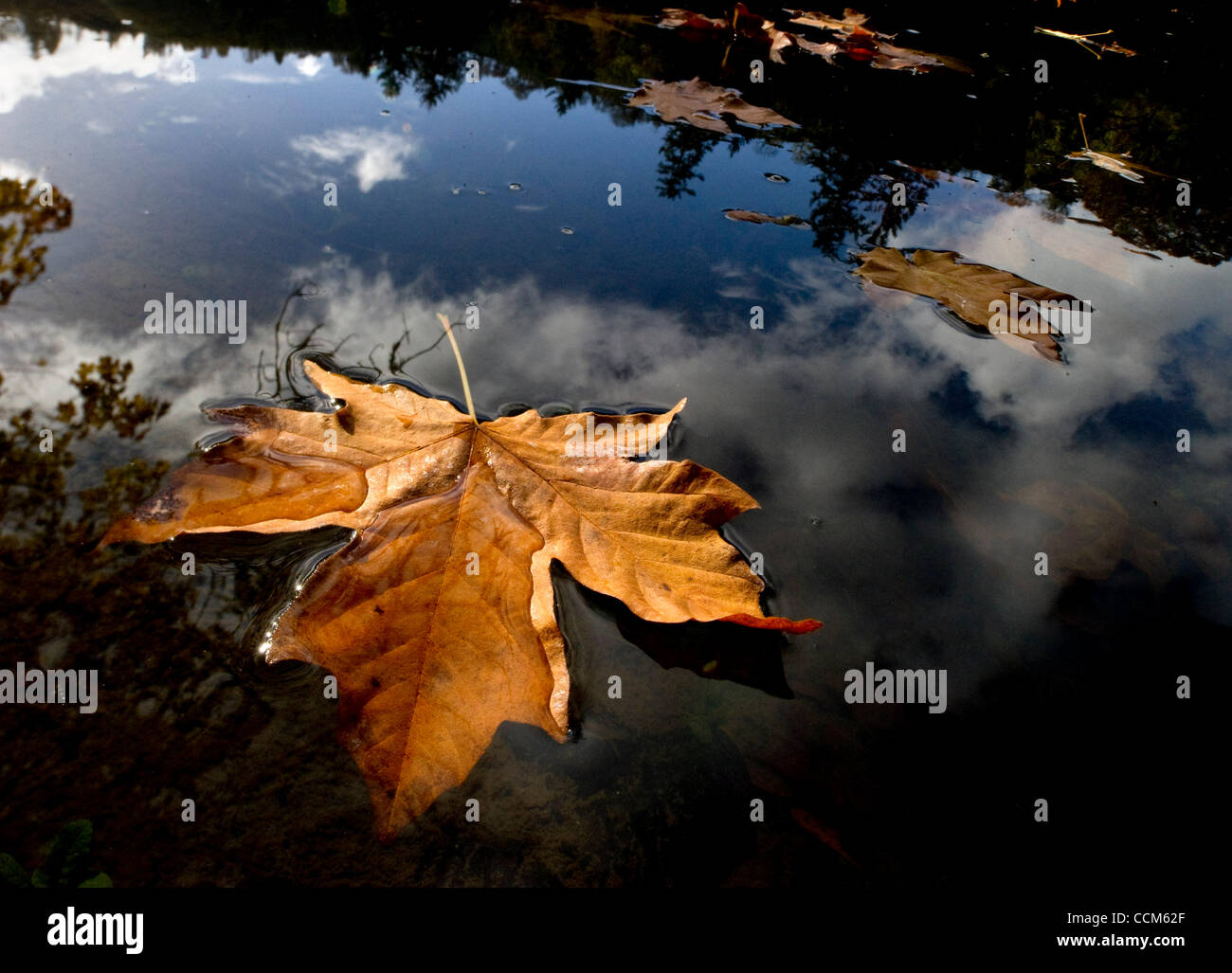 Elkton oregon hi-res stock photography and images - Alamy