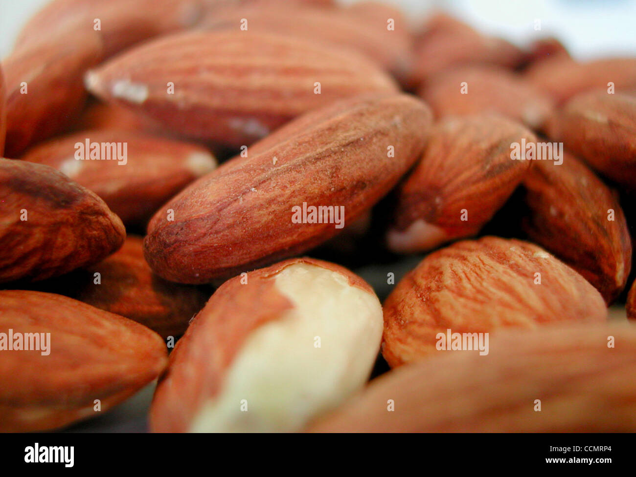 20040424 hi-res stock photography and images - Alamy