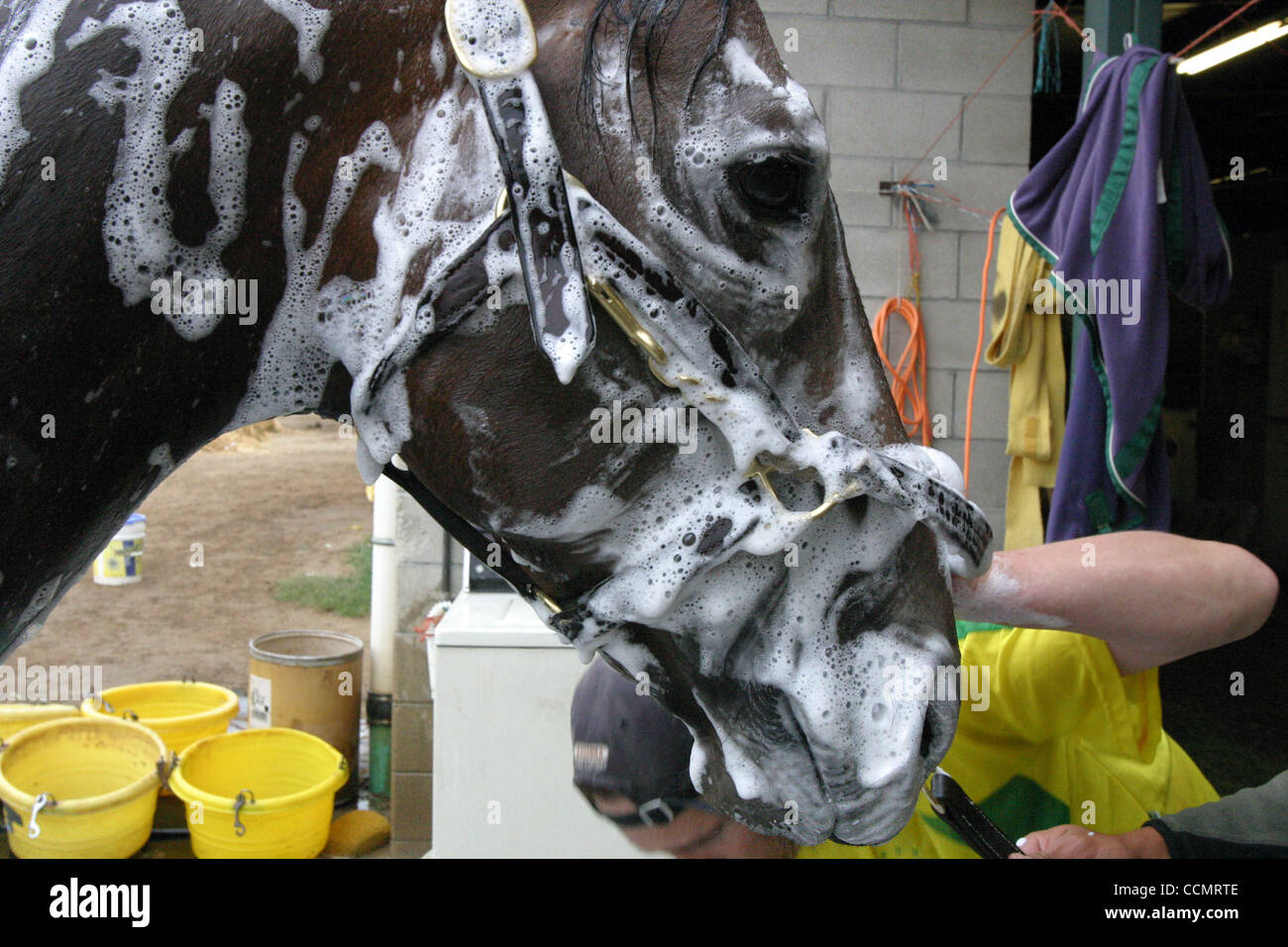 From inglewood hi-res stock photography and images - Alamy