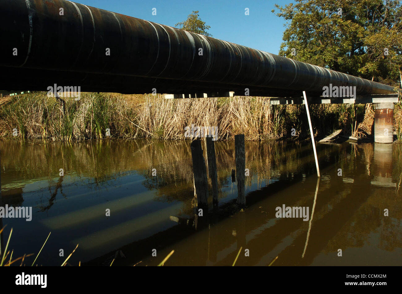 Pipelines run across the marsh near the Pacheco Slough. This is for ...
