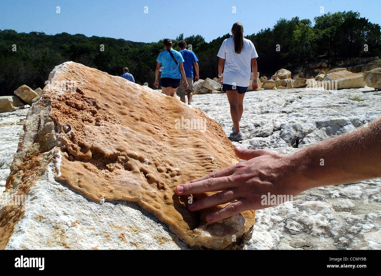 METRO A chunk of rock showing water deposits from its earlier ...