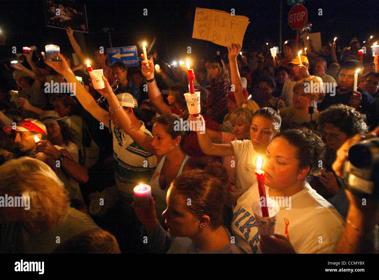Dead tiger hi-res stock photography and images - Alamy