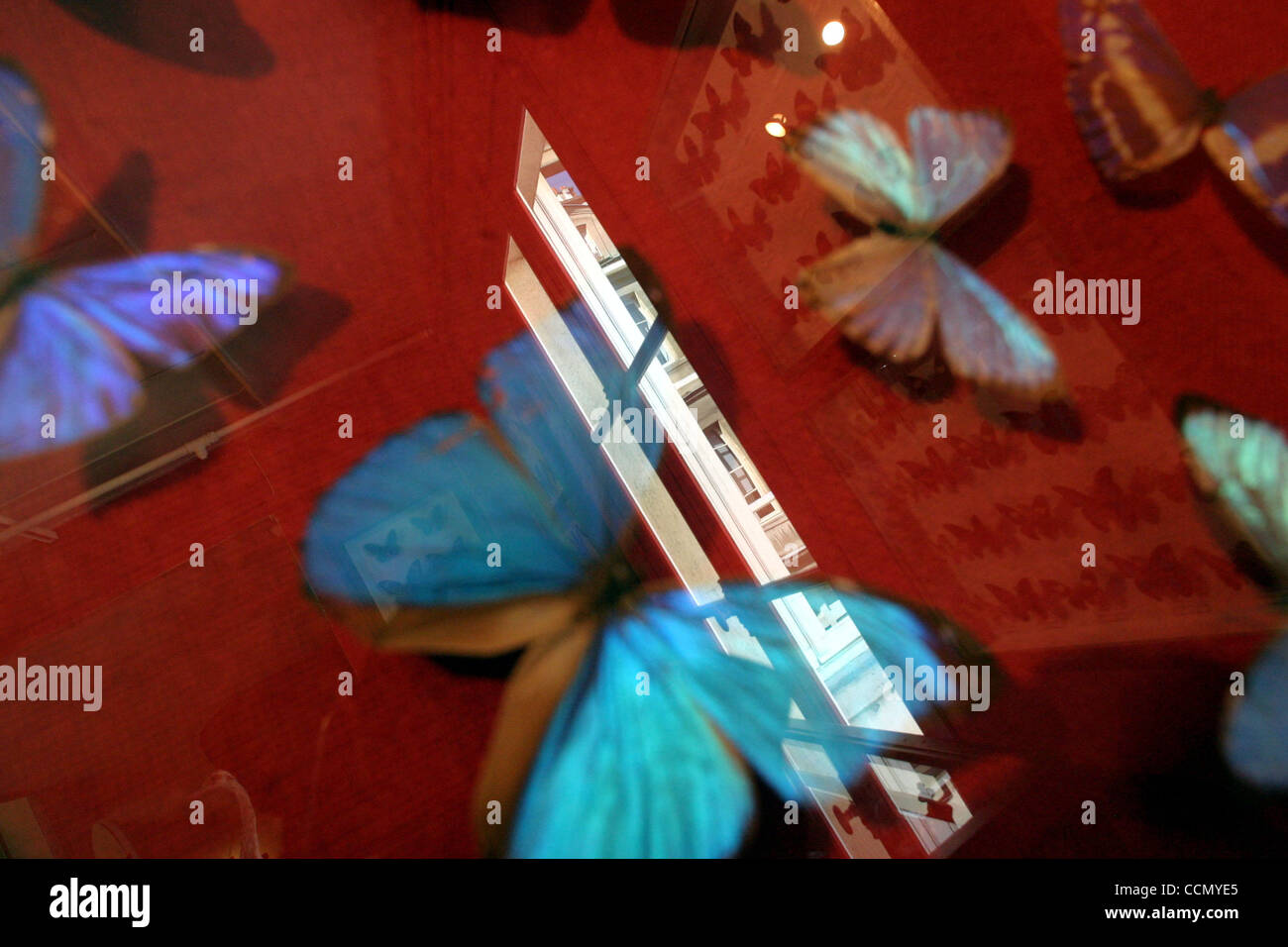 Deyrolle hi-res stock photography and images - Alamy