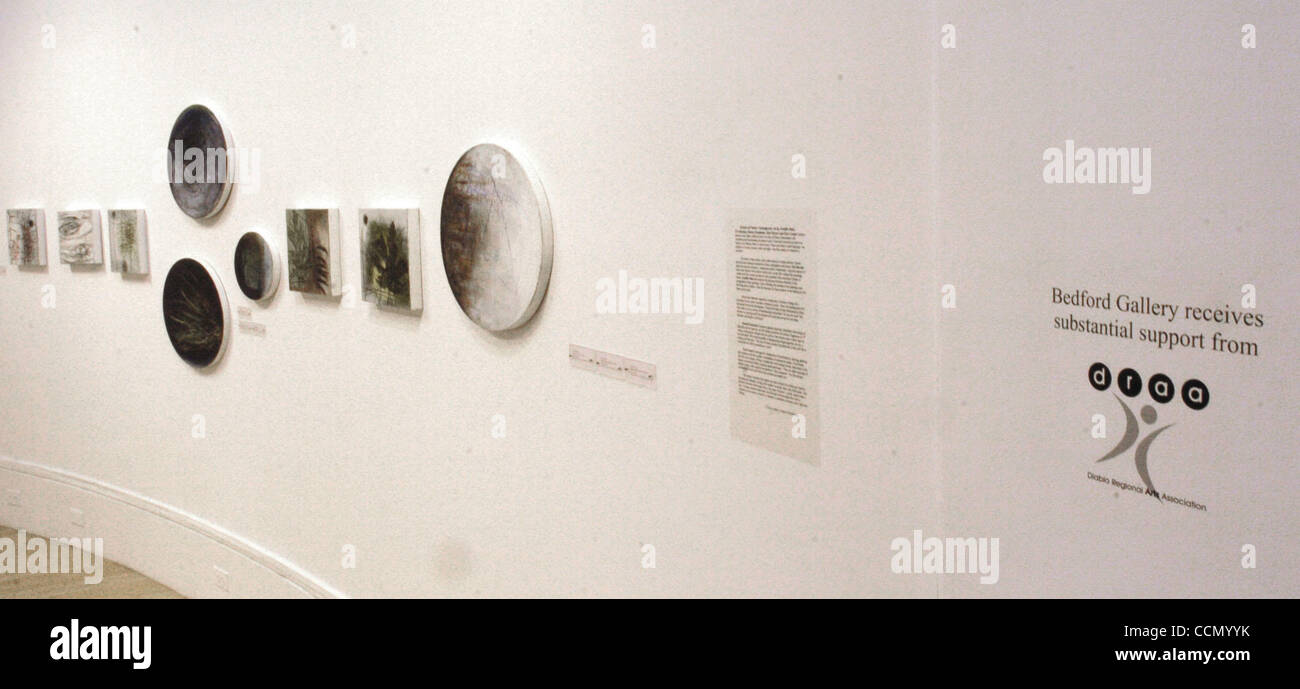 The Bedford Gallery is Walnut Creek's most heavily subsidized city arts ...