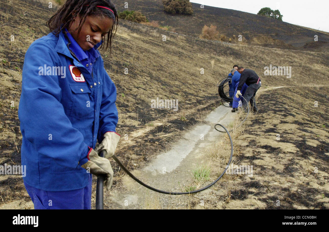 Ashanti Davis, 19, and other volunteers from the Shell Refinery are ...