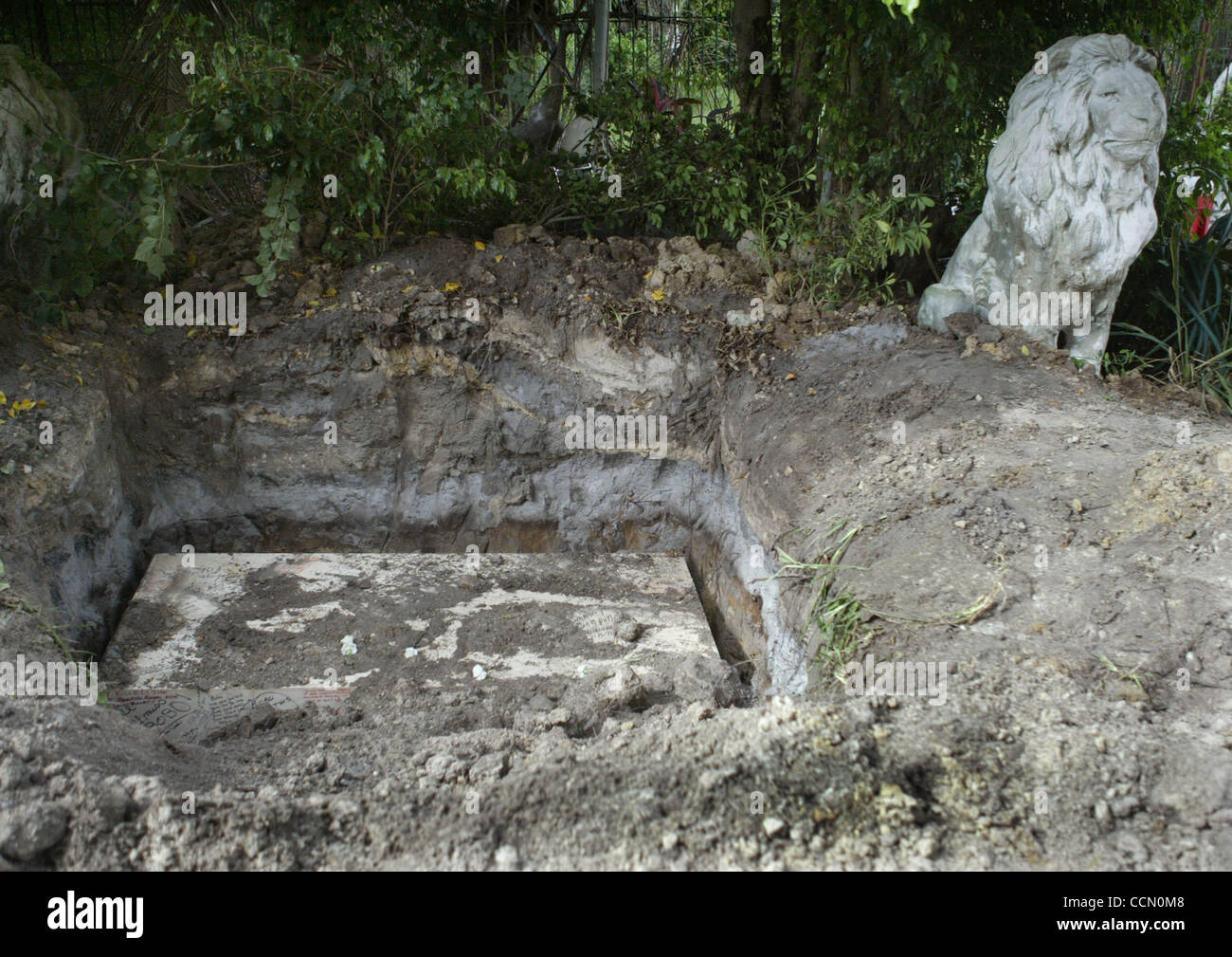 071704 MET Bobo grave-staff photo by Shannon O'Brien Loxahatchee--Bobo ...