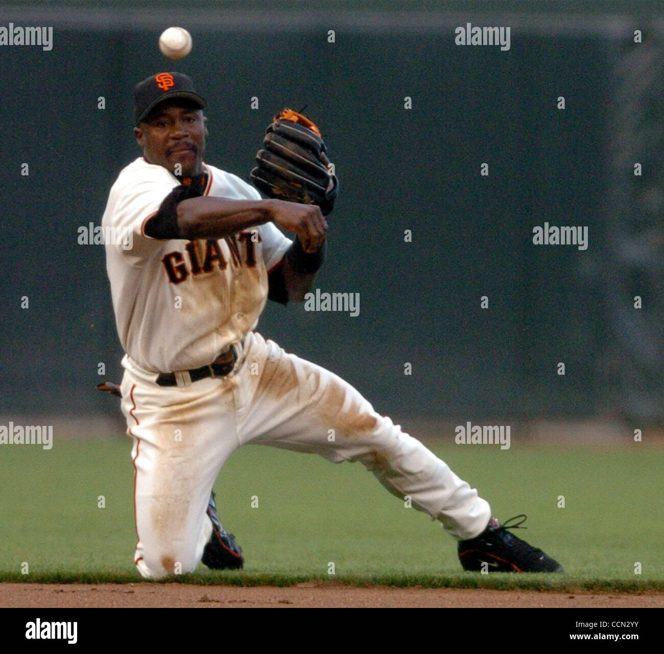 Knee ray ray from hi-res stock photography and images - Alamy