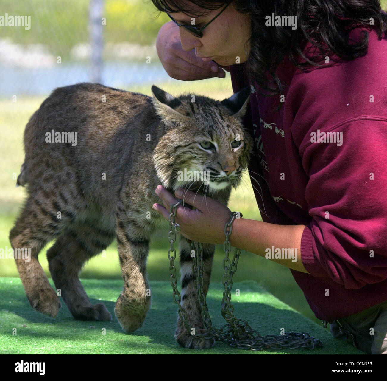 Susan ortega hi-res stock photography and images - Alamy