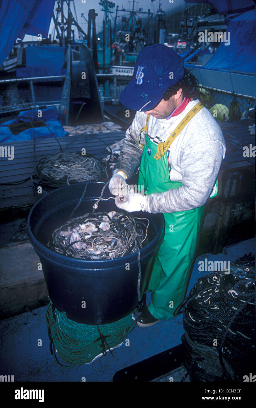 Jul 30, 2004; Kodiak, ALASKA; FILE PHOTO: 1994; Baiting longlines for ...