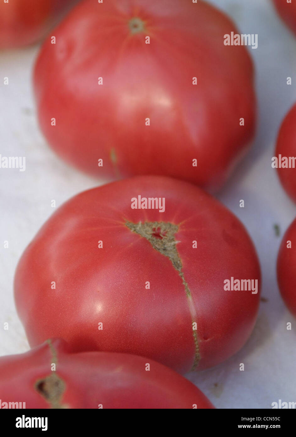 Brandy Wine tomatoes from Brookside Farms at the Brentwood Farmers ...