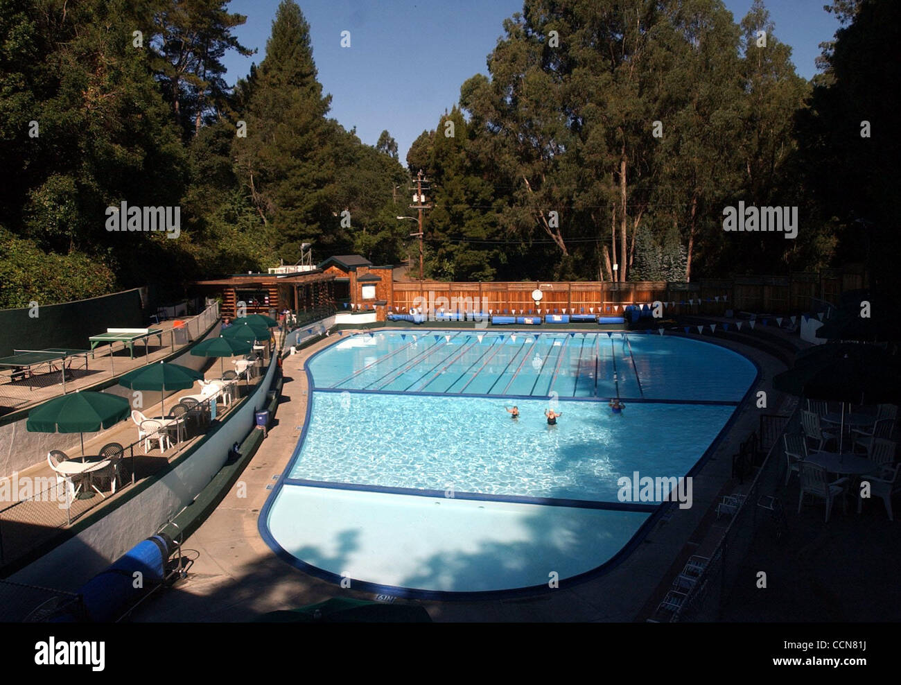 GOOD COMPANY--Montclair Swim Club is nestled in the Oakland, Calif ...