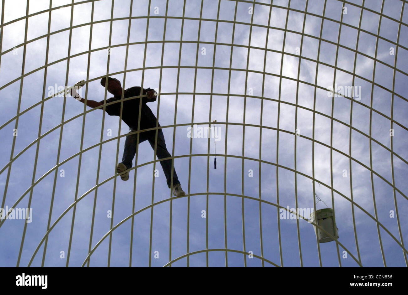 STANDALONE: Brandon Marable, a worker with the city of Hercules, scales ...