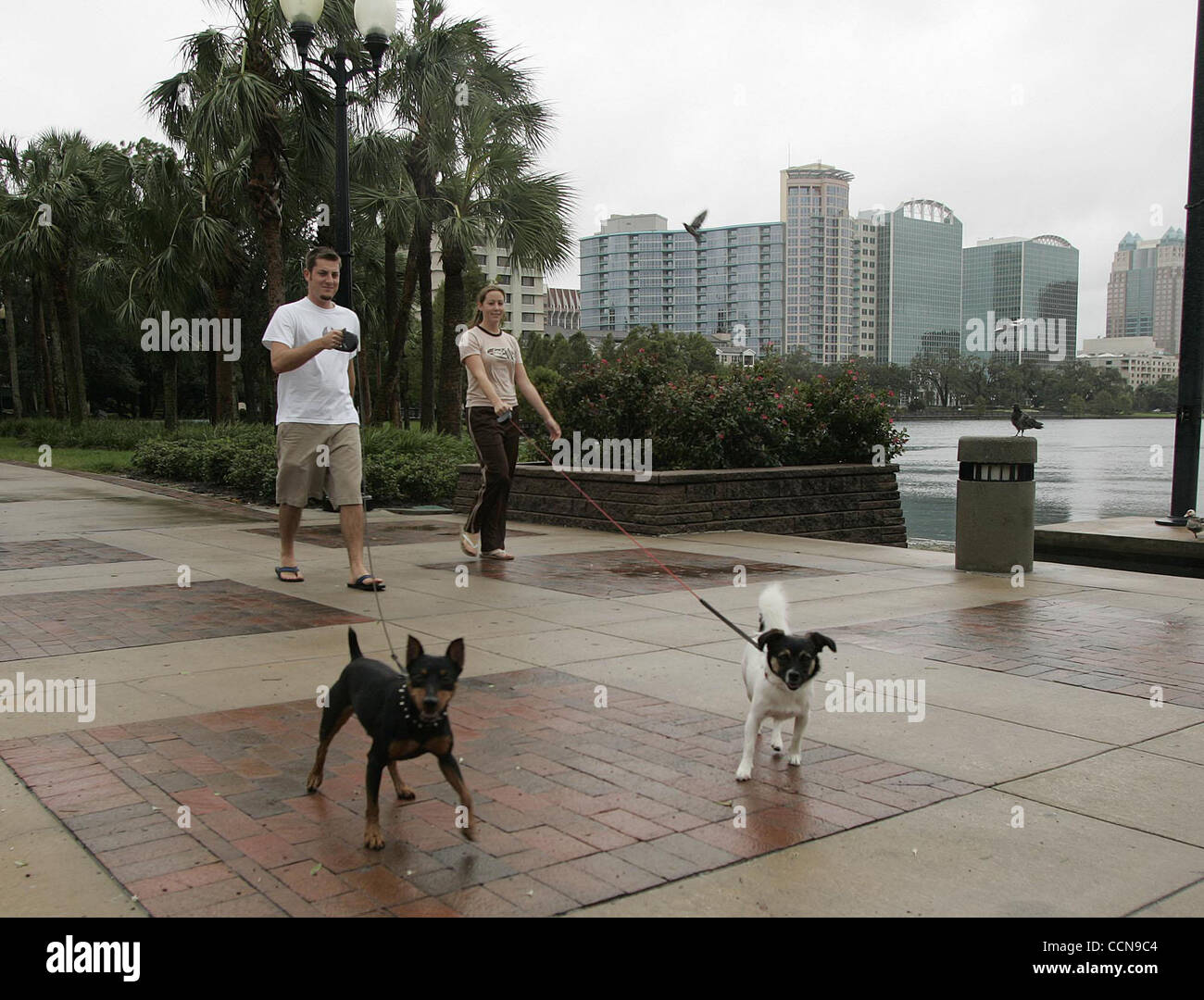 Brandon Nickell, left, and Erin Burrell walk their dogs Spock and Lyla ...