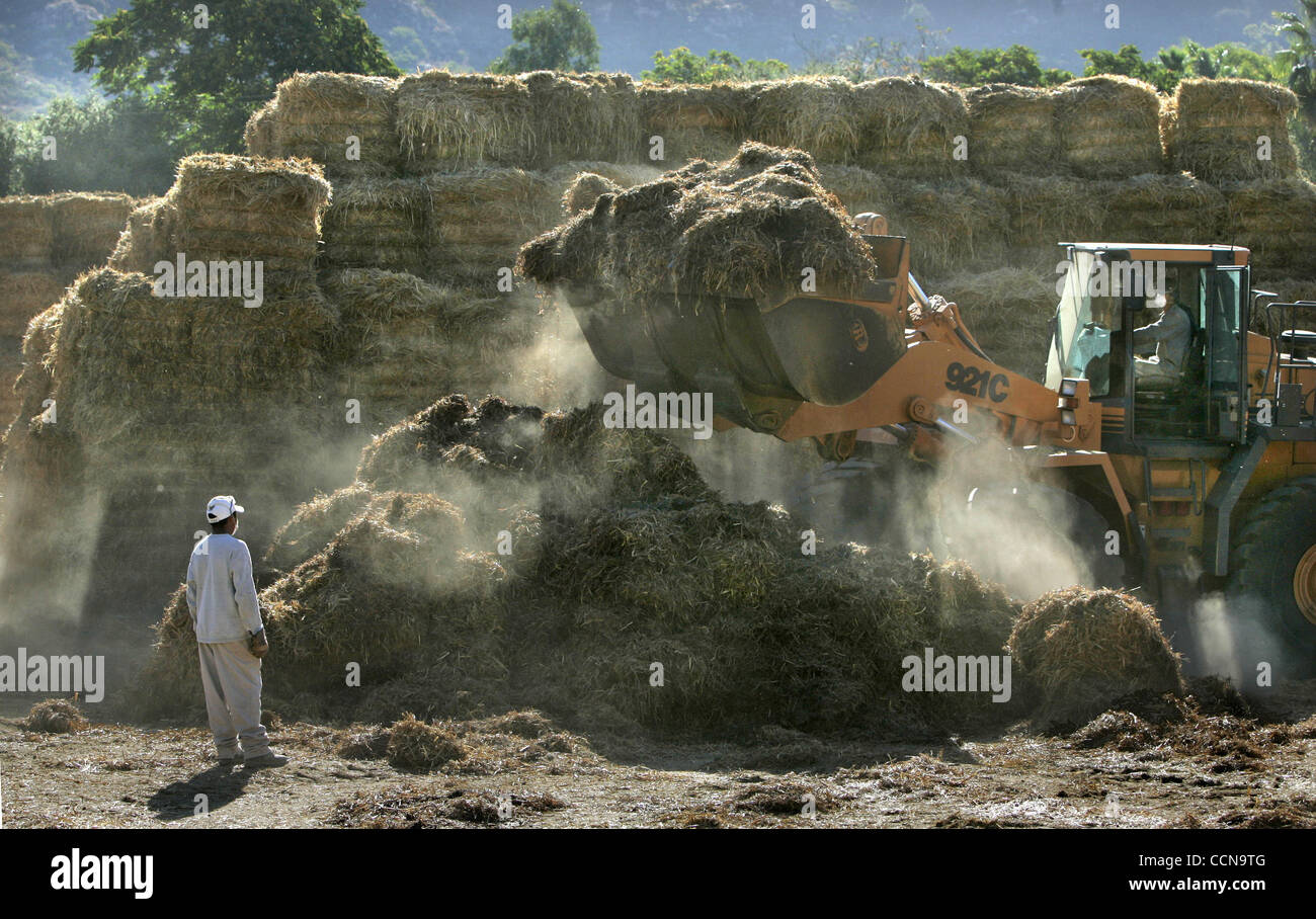 Charlie bales hi-res stock photography and images - Alamy