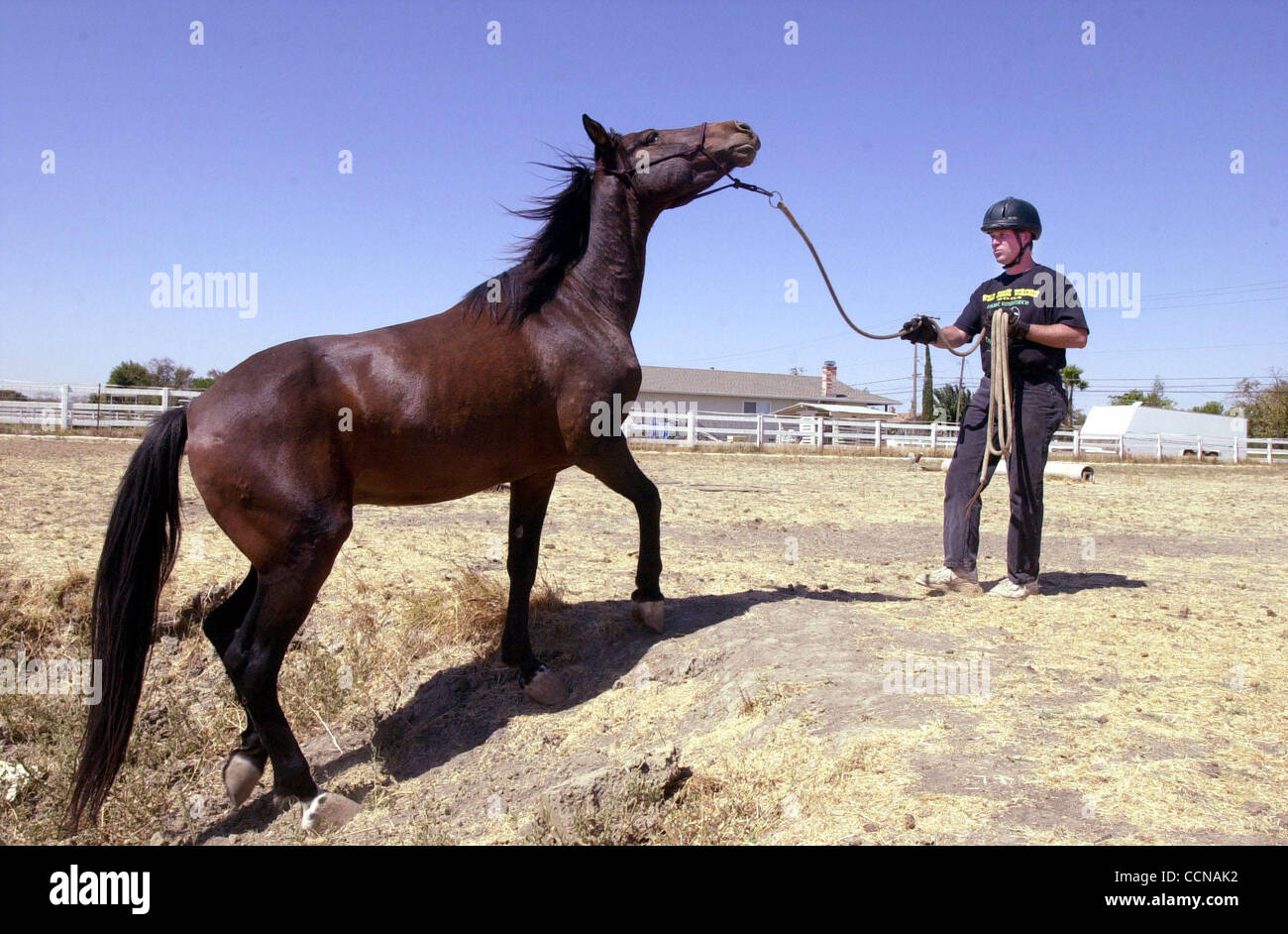 James Kicker of Kickin' Back Ranch in Knightsen Calif., has been ...