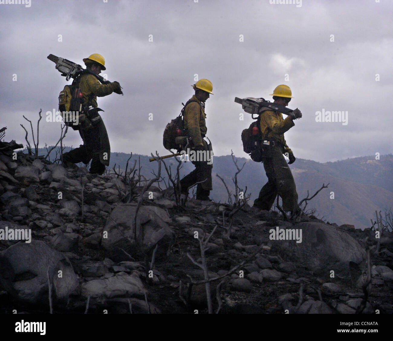 Lusardi hi-res stock photography and images - Alamy