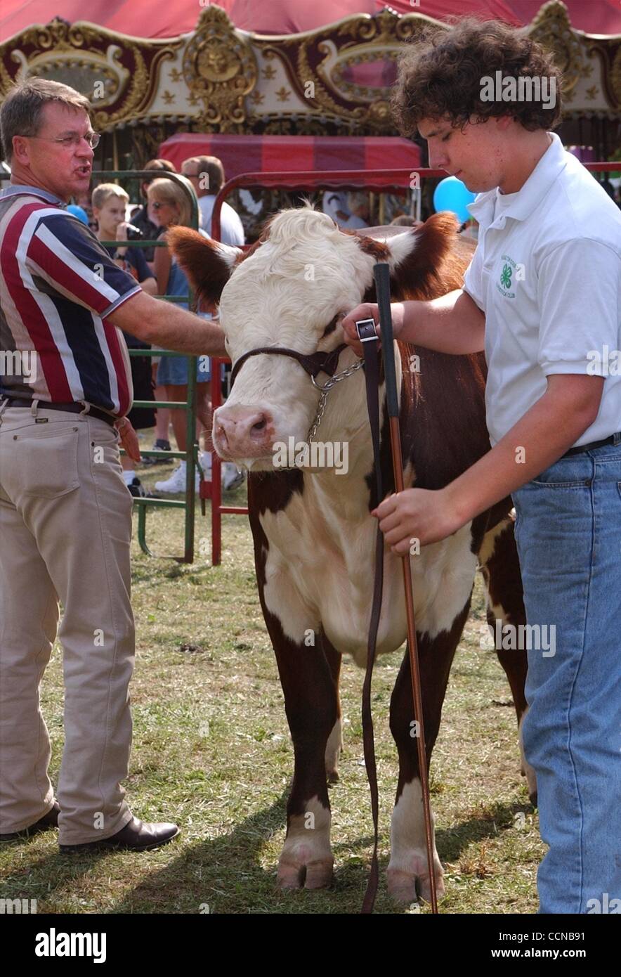 Livestock showmanship hi-res stock photography and images - Alamy