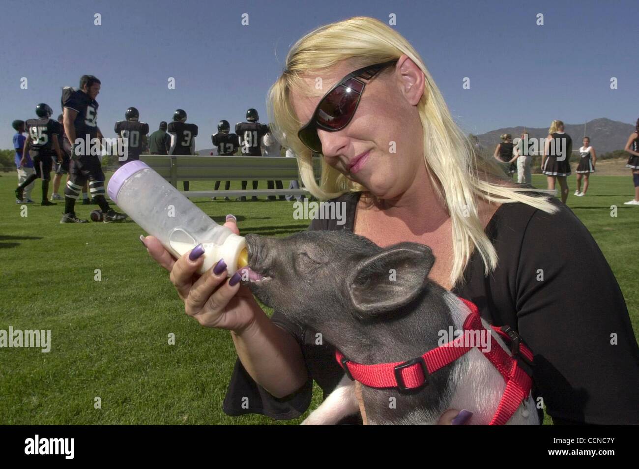 (PUBLISHED 10/12/2004, D-1) A four week old pig named ''Oreo,'' that is ...