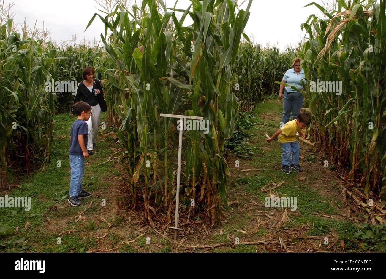 Ken bruce family hi-res stock photography and images - Alamy