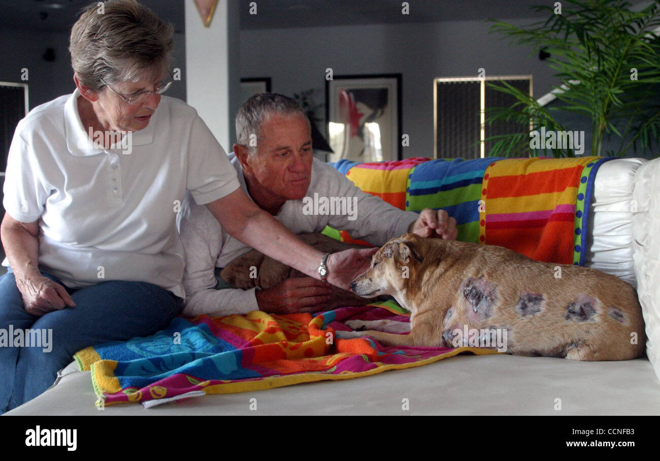 Ed fitzpatrick hi-res stock photography and images - Alamy