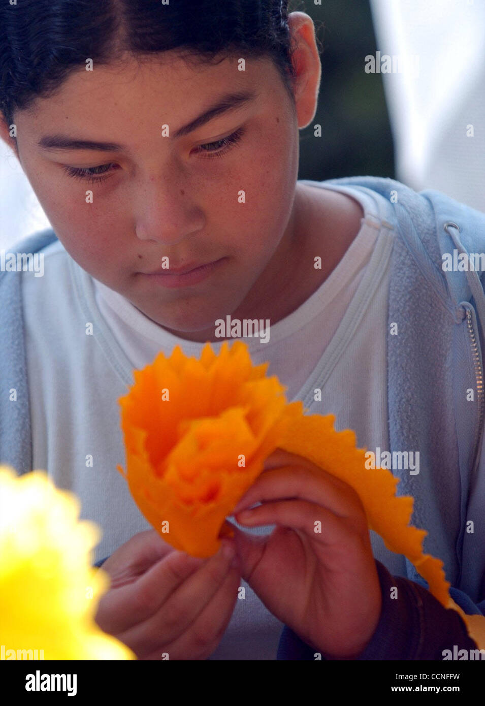Jacqueline Santa Maria, 10, make a paper flower for the Day of the Dead ...