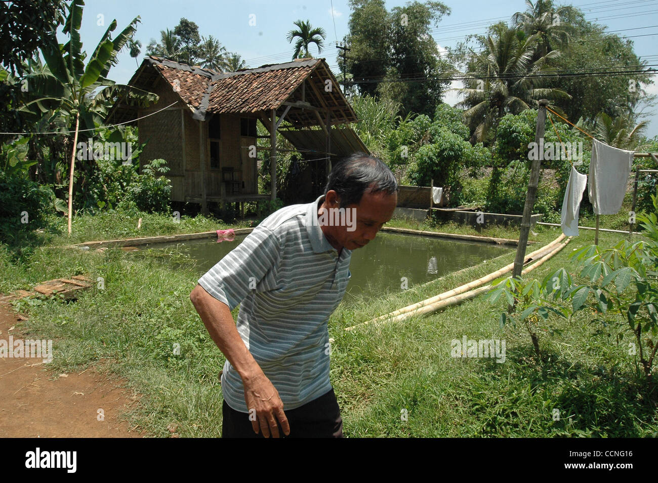 SUKABUMI, WEST JAVA, INDONESIA October, 6, 2004 The bamboo hut at ...