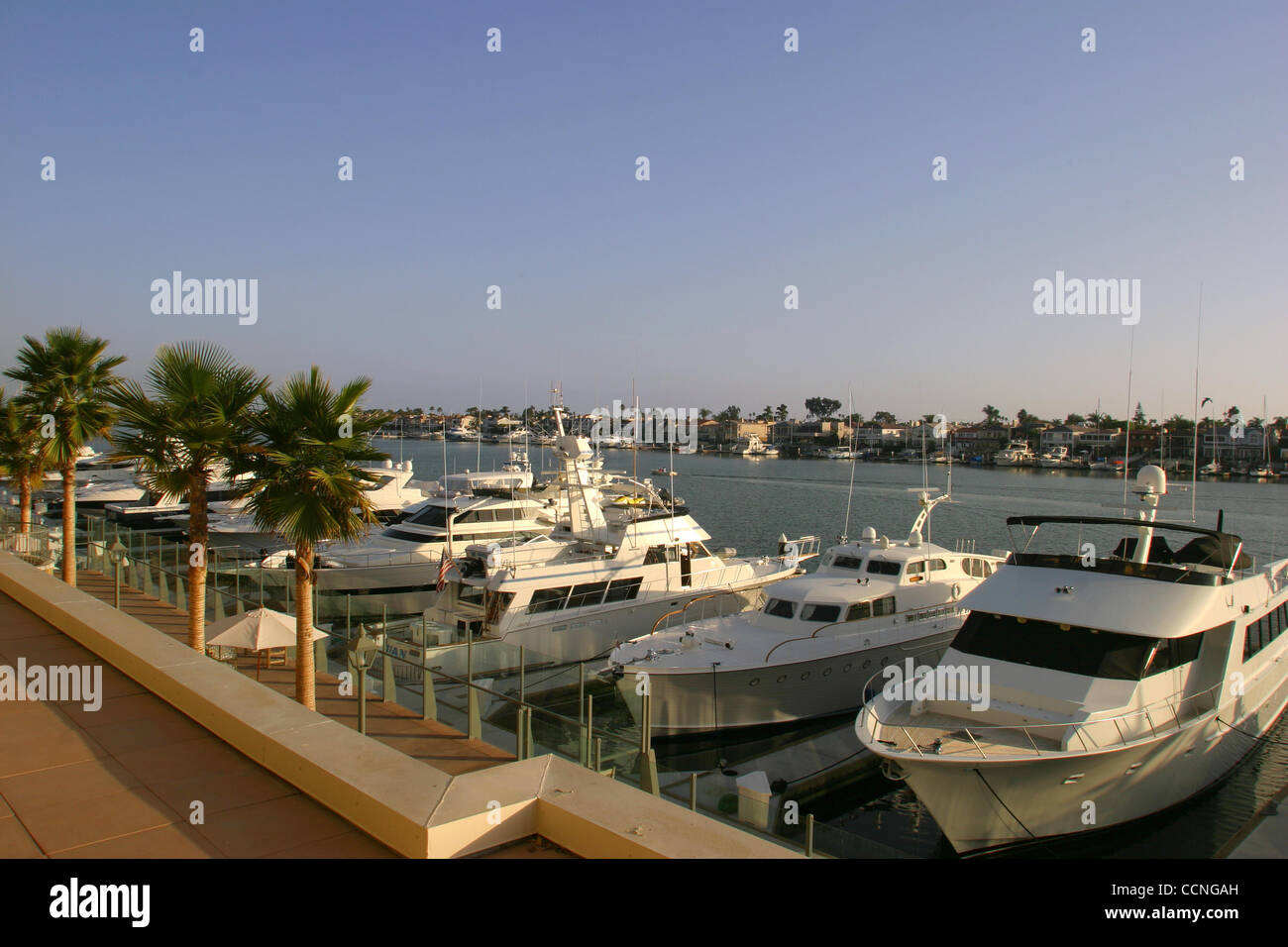 The balboa bay club and resort hi-res stock photography and images - Alamy