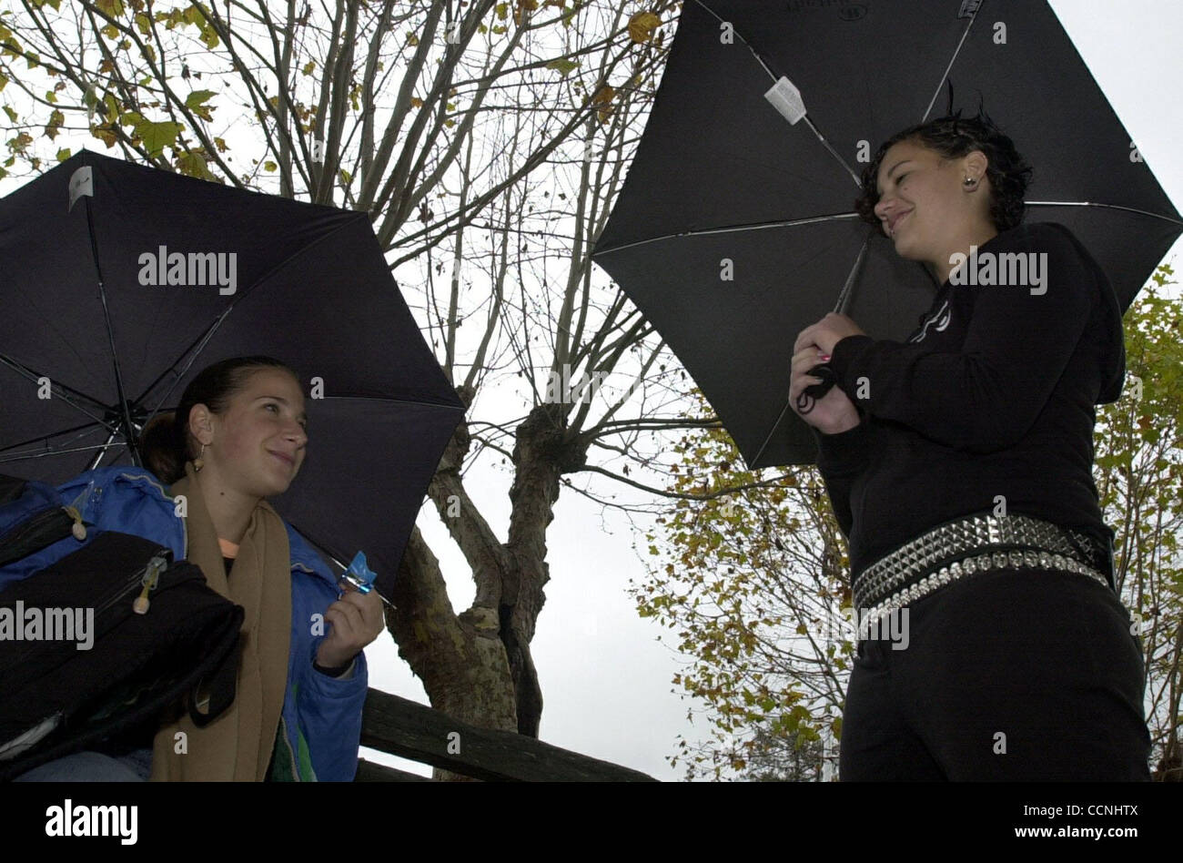 Albany High School juniors Diana Hill, left, and Emily Silverstein ...