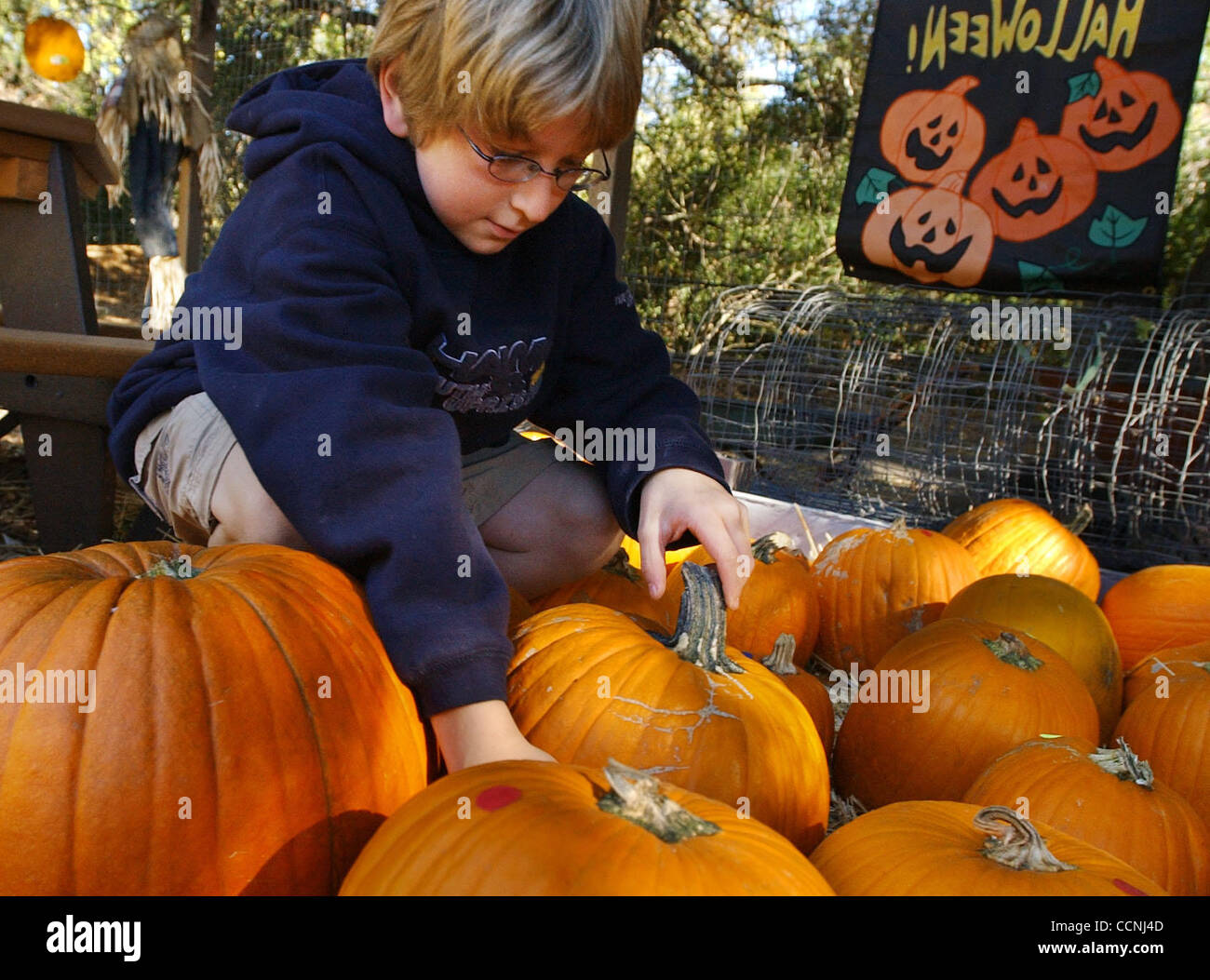 Rey nam hi-res stock photography and images - Alamy