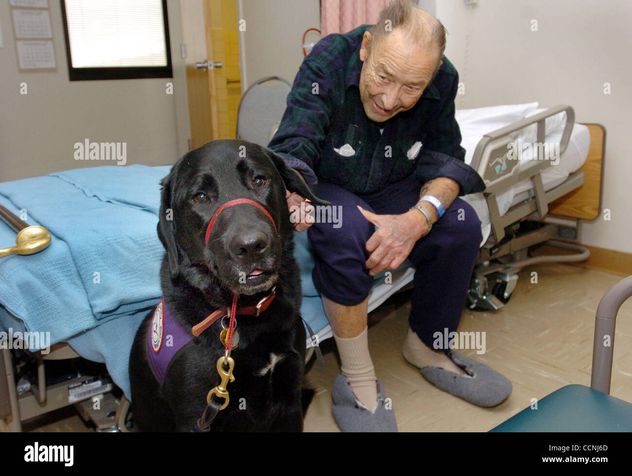 "Lawrence the Livermore lab" (cq) makes his pet therapy rounds through ...