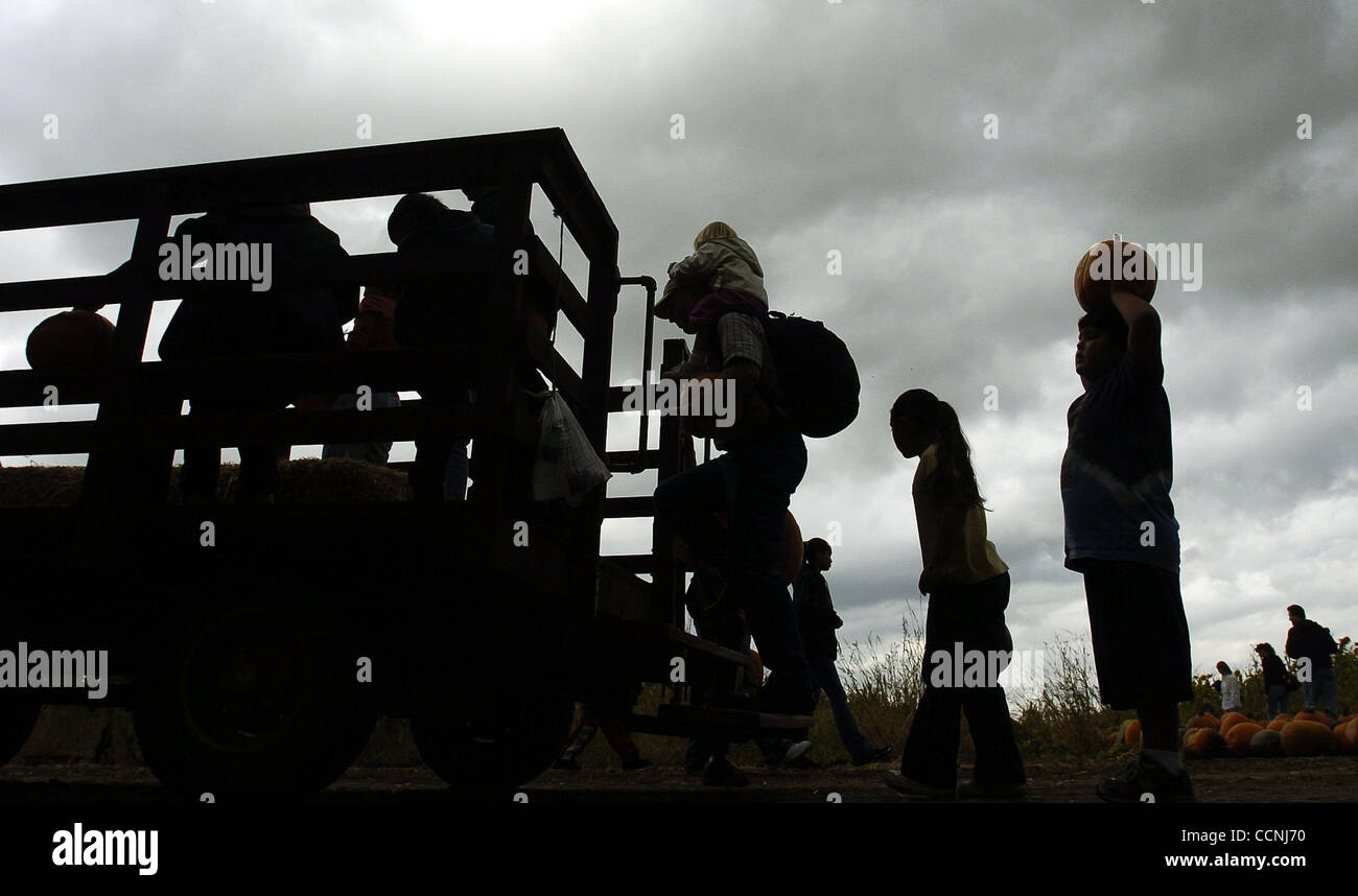 (RIGHT) Zachary Sullivan, age 6, from, Oakley, places his pumpkin on ...
