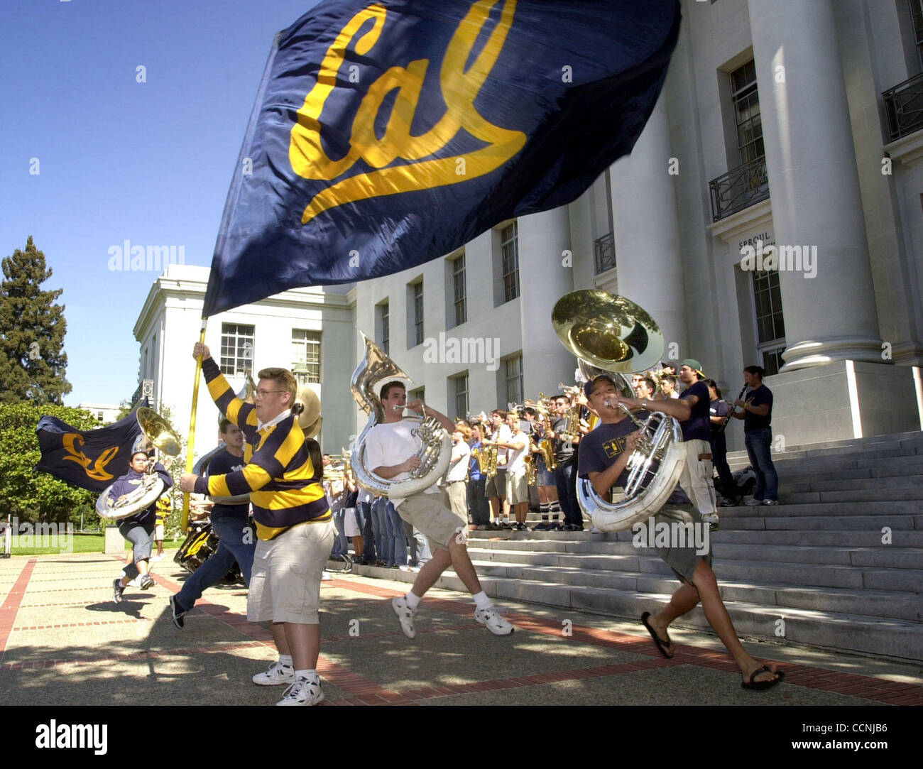 Joe Owens of the UC Berkeley Rally Committee waves the Cal flag as ...